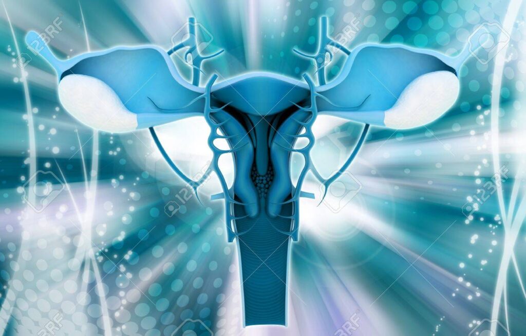 Pudendal and Paracervical Blocks | Medika Life : Anesthesia