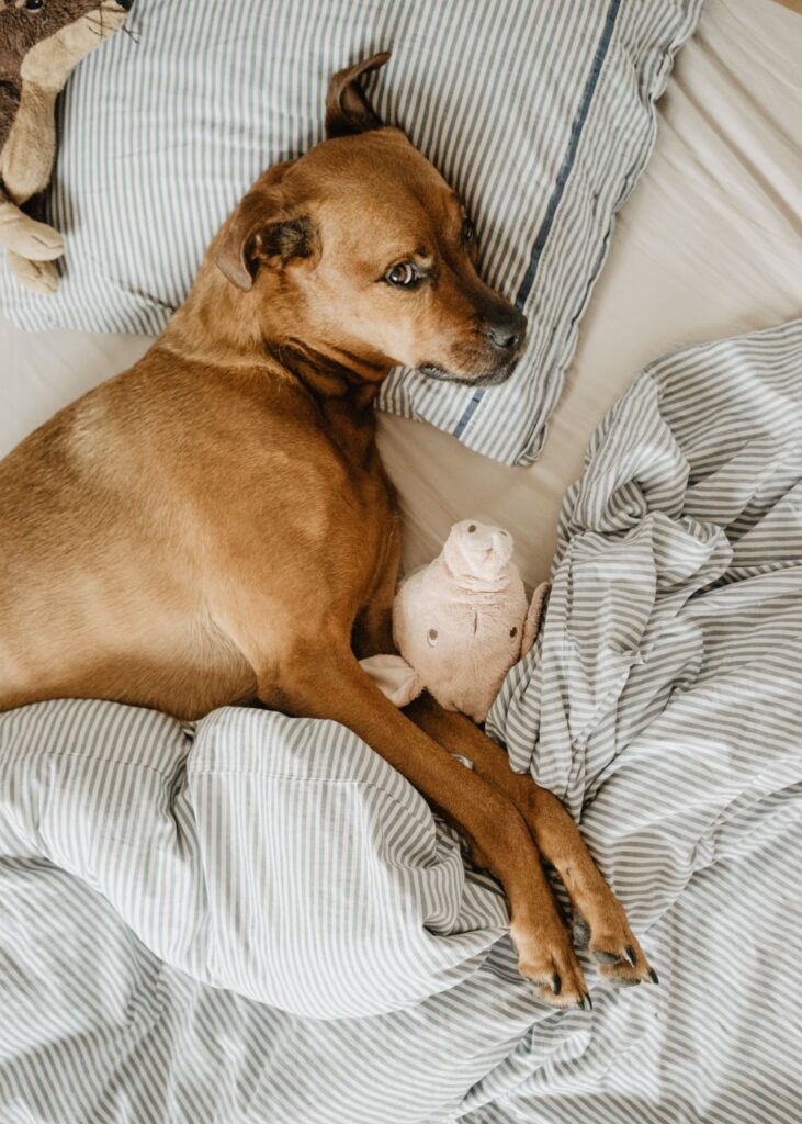 How Much Deep Sleep Do You Need? - Medika Life
